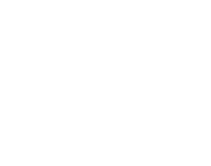 WHO WE ARE – The HOPE Initiative